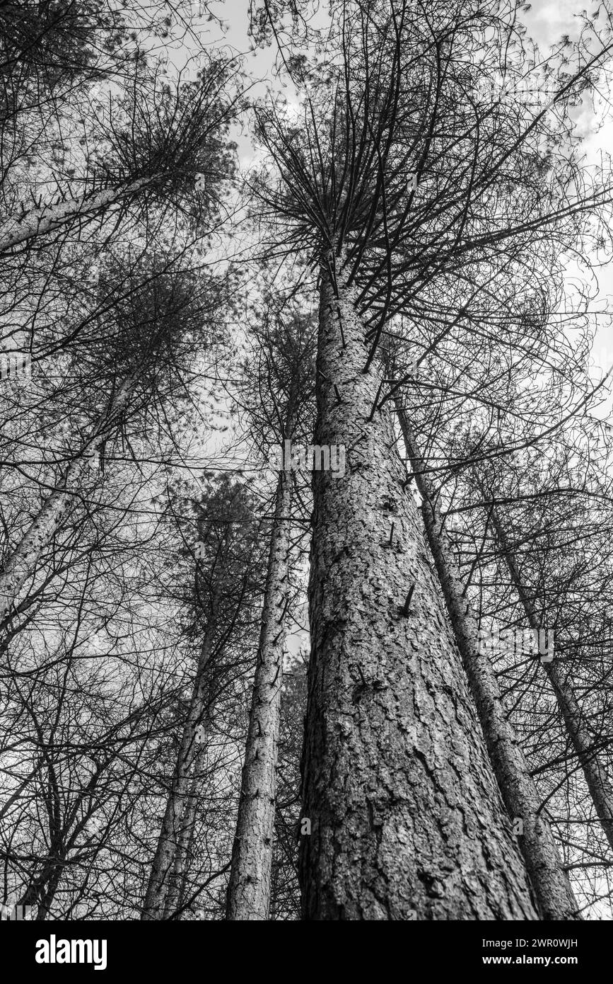 Livtng hi-res stock photography and images - Alamy