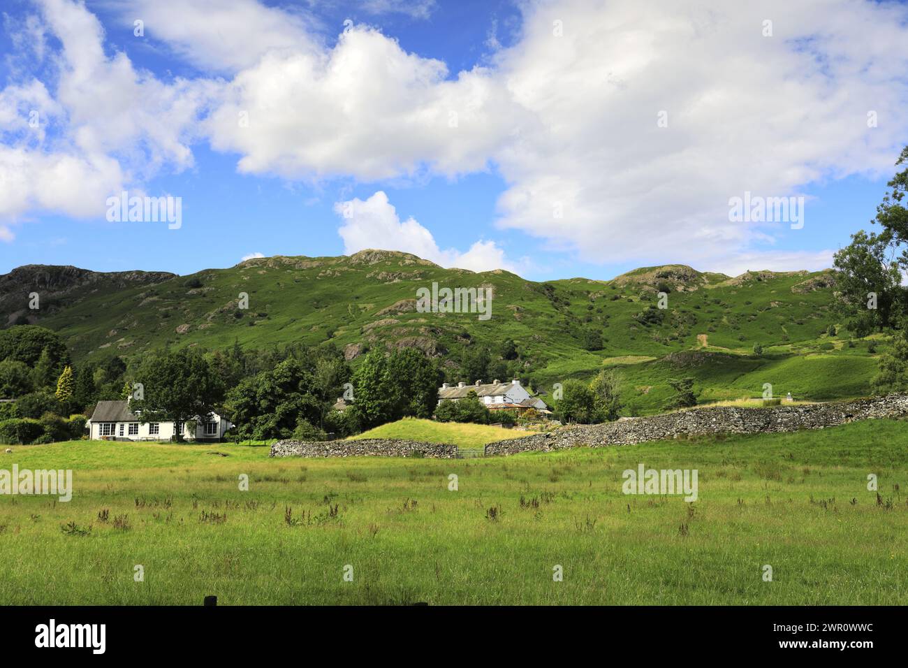 Summer view over Elterwater village, Langdale, Lake District National ...