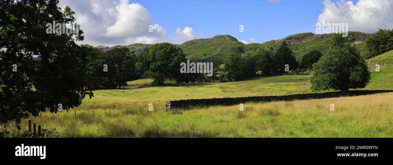 Summer view over Elterwater village, Langdale, Lake District National ...