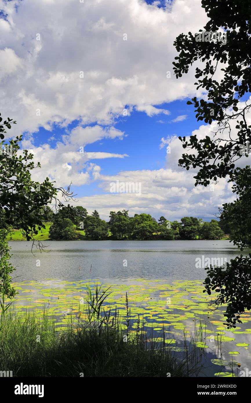 Summer view over Loughrigg Tarn, Lake District National Park, Cumbria ...