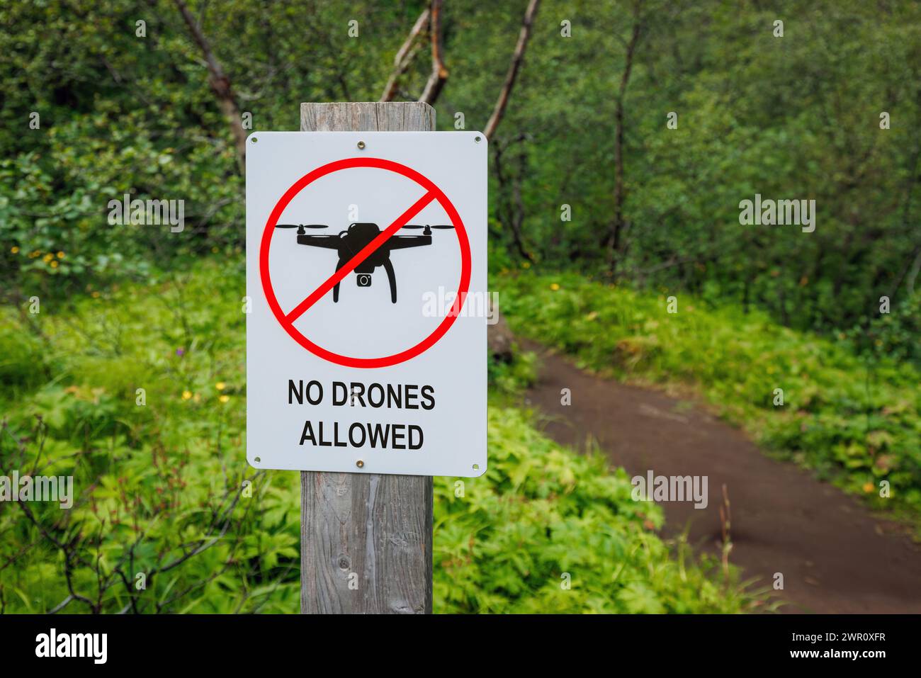 Notice sign on a wooden pillar with a green forest in the background ...
