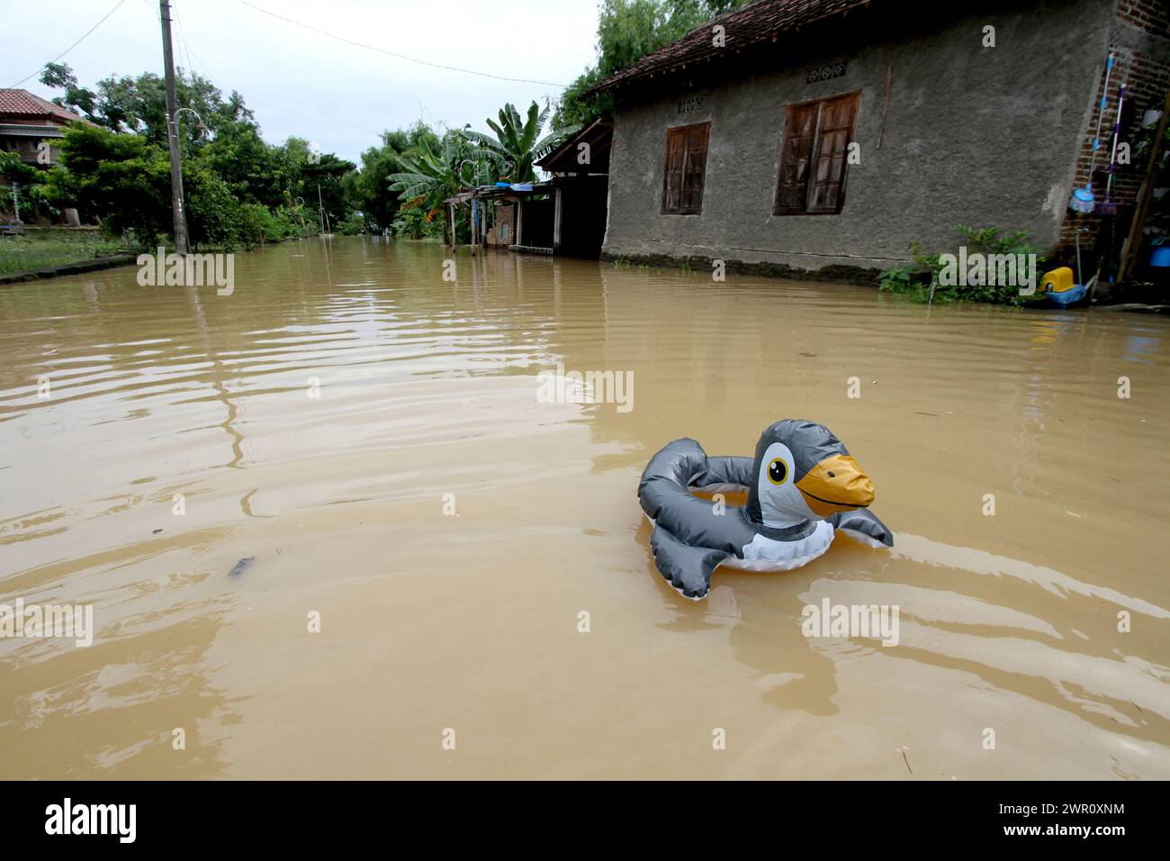 Sragen, Indonesia. 10th Mar, 2024. A swim ring floats on floodwater ...