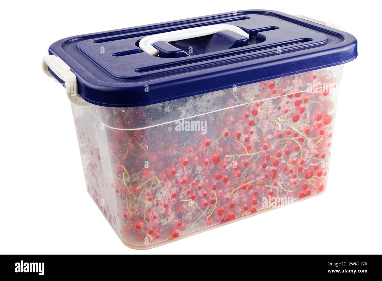 plastic container with red currants isolated on white background Stock ...