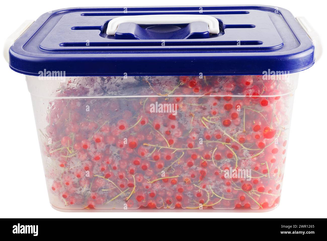 plastic container with red currants isolated on white background Stock ...