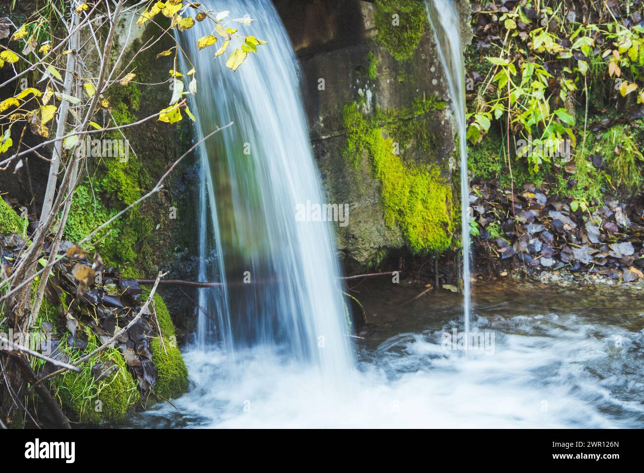 Small artificial waterfall on the forest river Stock Photo - Alamy