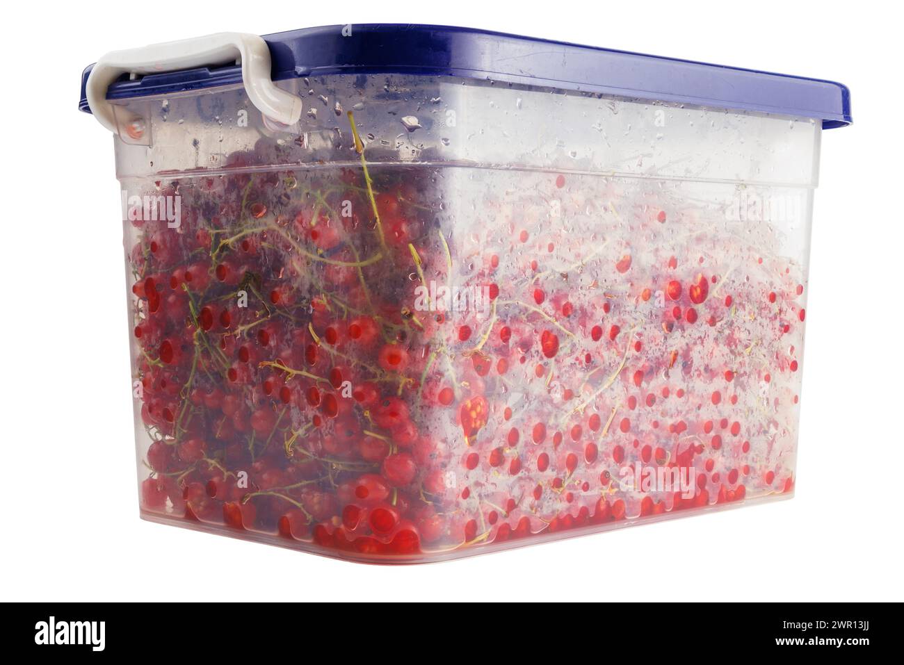 plastic container with red currants isolated on white background Stock ...