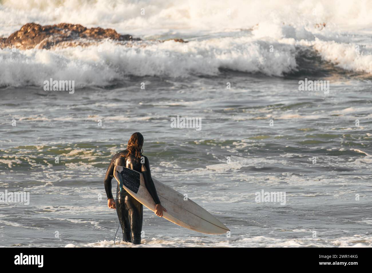 Long-haired surfer in a black wetsuit entering the water with ...