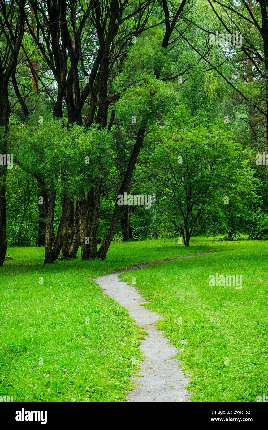 Park with different beautiful trees Stock Photo - Alamy
