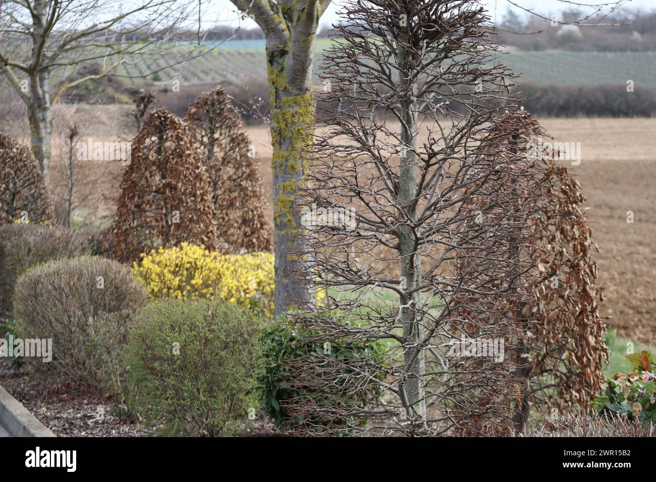 planted circular Parking lot boundaries in Spring Stock Photo - Alamy