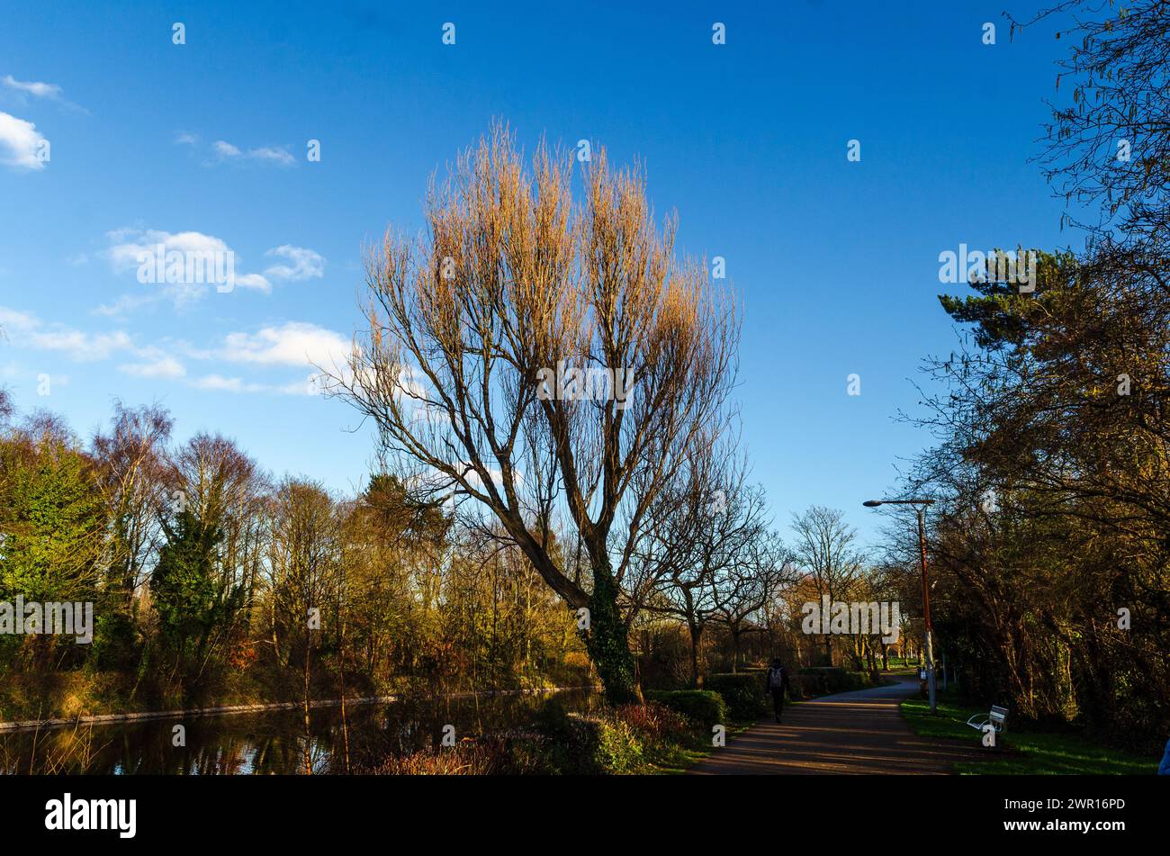 Belfast County Down Northern Ireland February 21 2024 -Belfast public ...