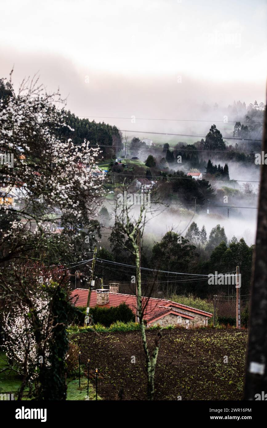 Camino místico hi-res stock photography and images - Alamy