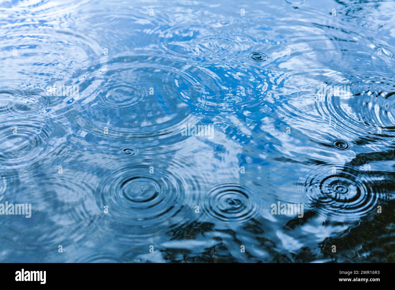 Raindrops creating circular ripples on a calm blue body of water during ...