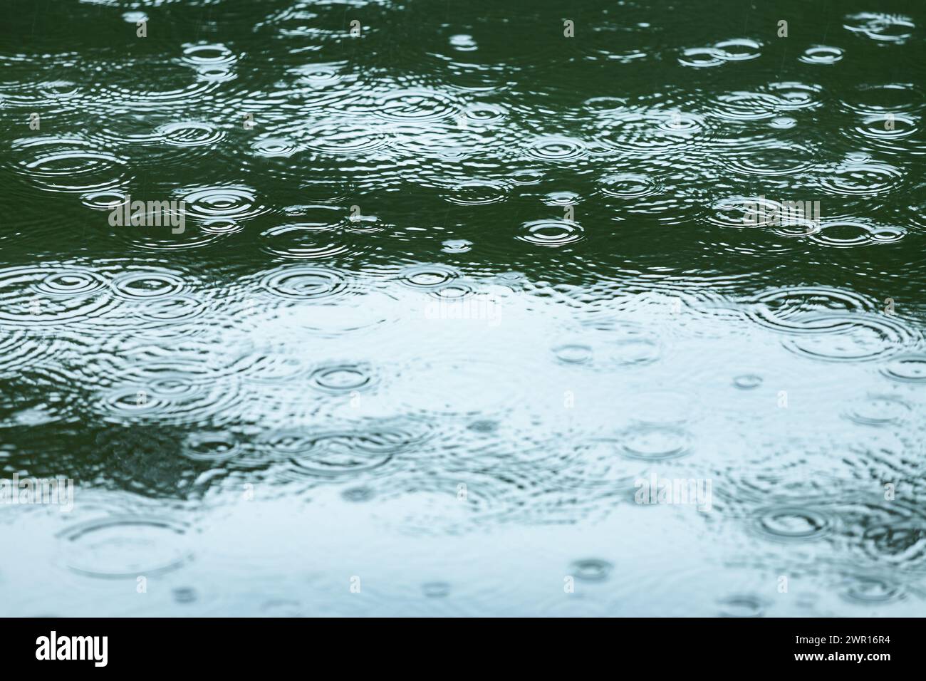 Raindrops creating circular ripples on a calm body of water during ...