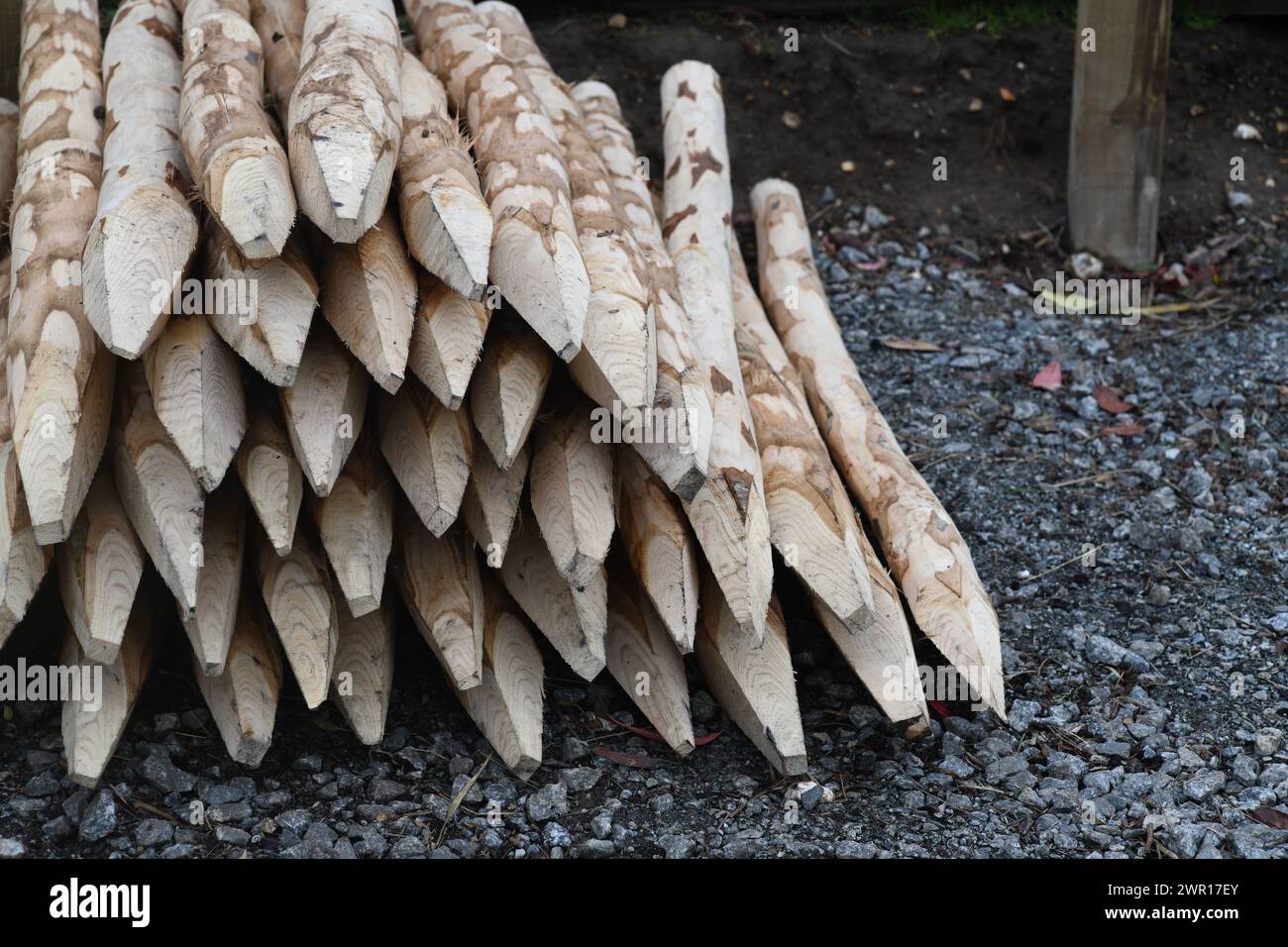 New fence posts Stock Photo - Alamy