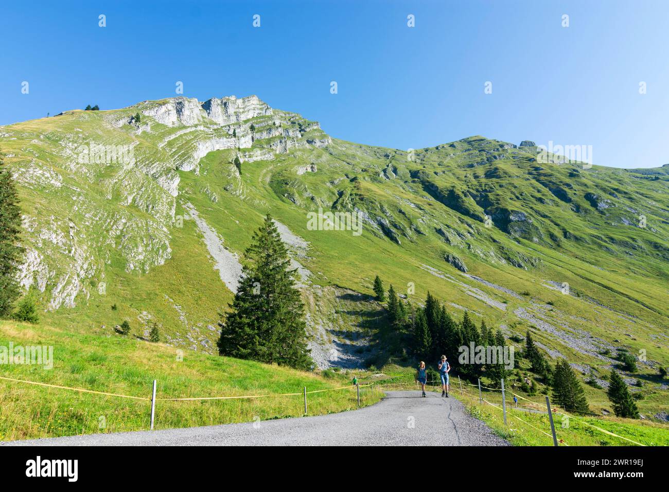 Au: mountain Kanisfluh in Bregenzerwaldgebirge (Bregenz Forest ...