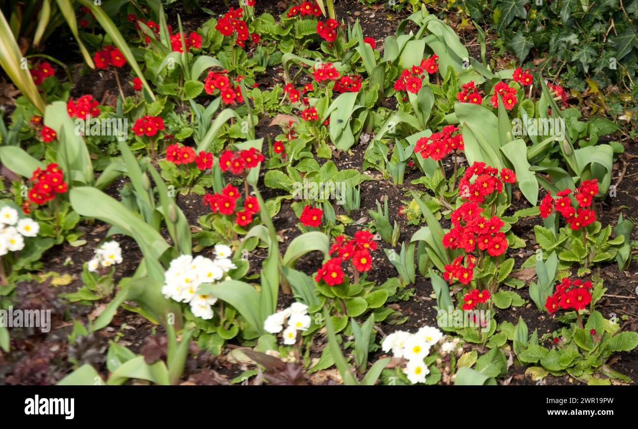 City of london border hi-res stock photography and images - Alamy