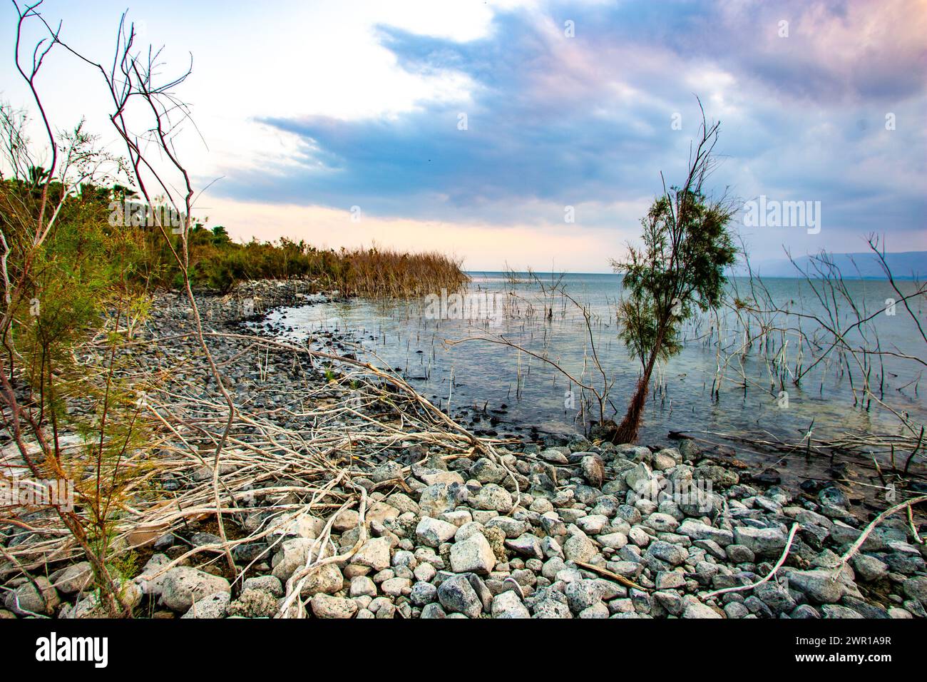 Sea of Galilee, also called Lake Tiberias or Kinneret Stock Photo - Alamy