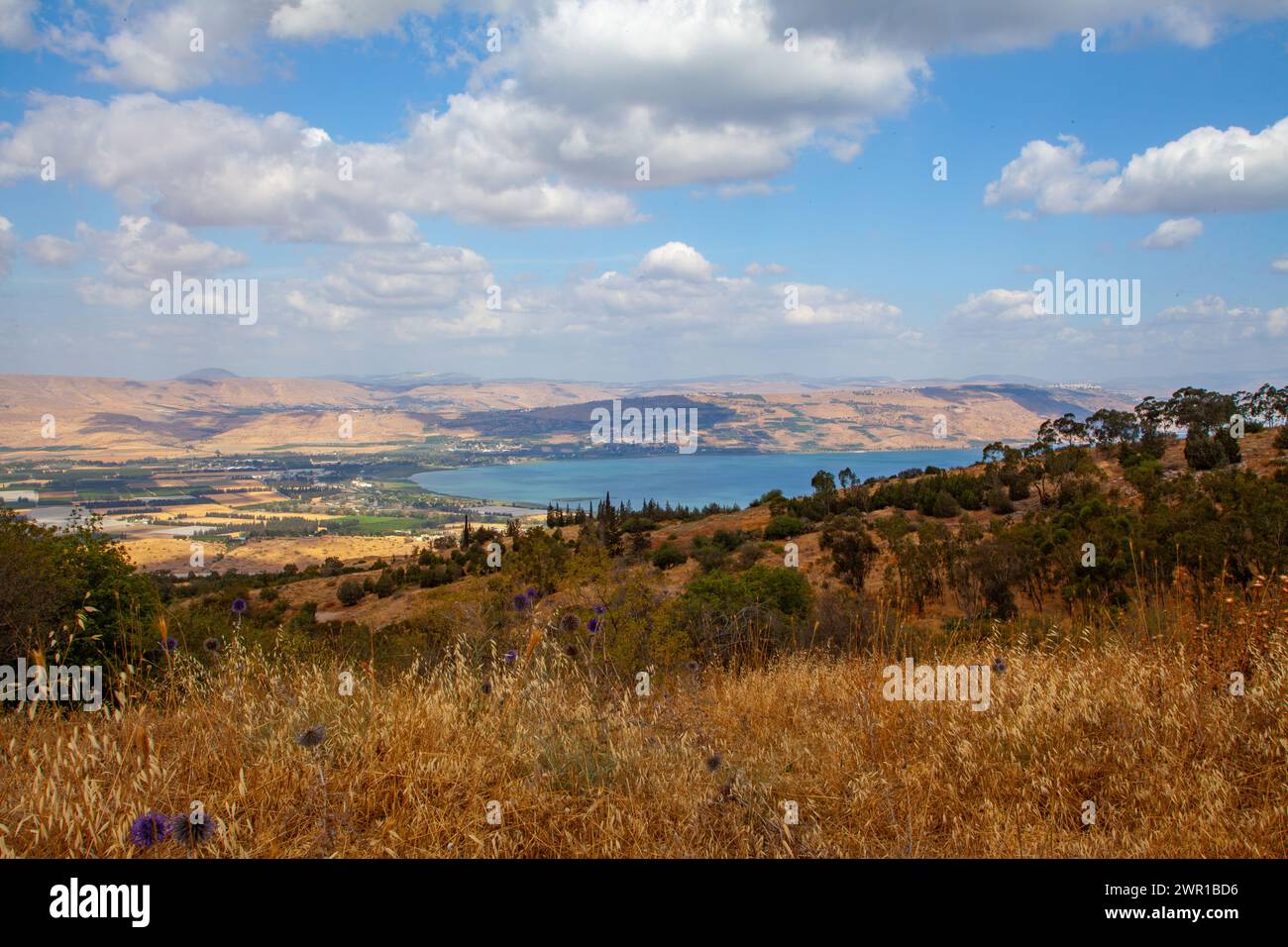 Of golan heights and lake tiberias sea of galilee hi-res stock ...