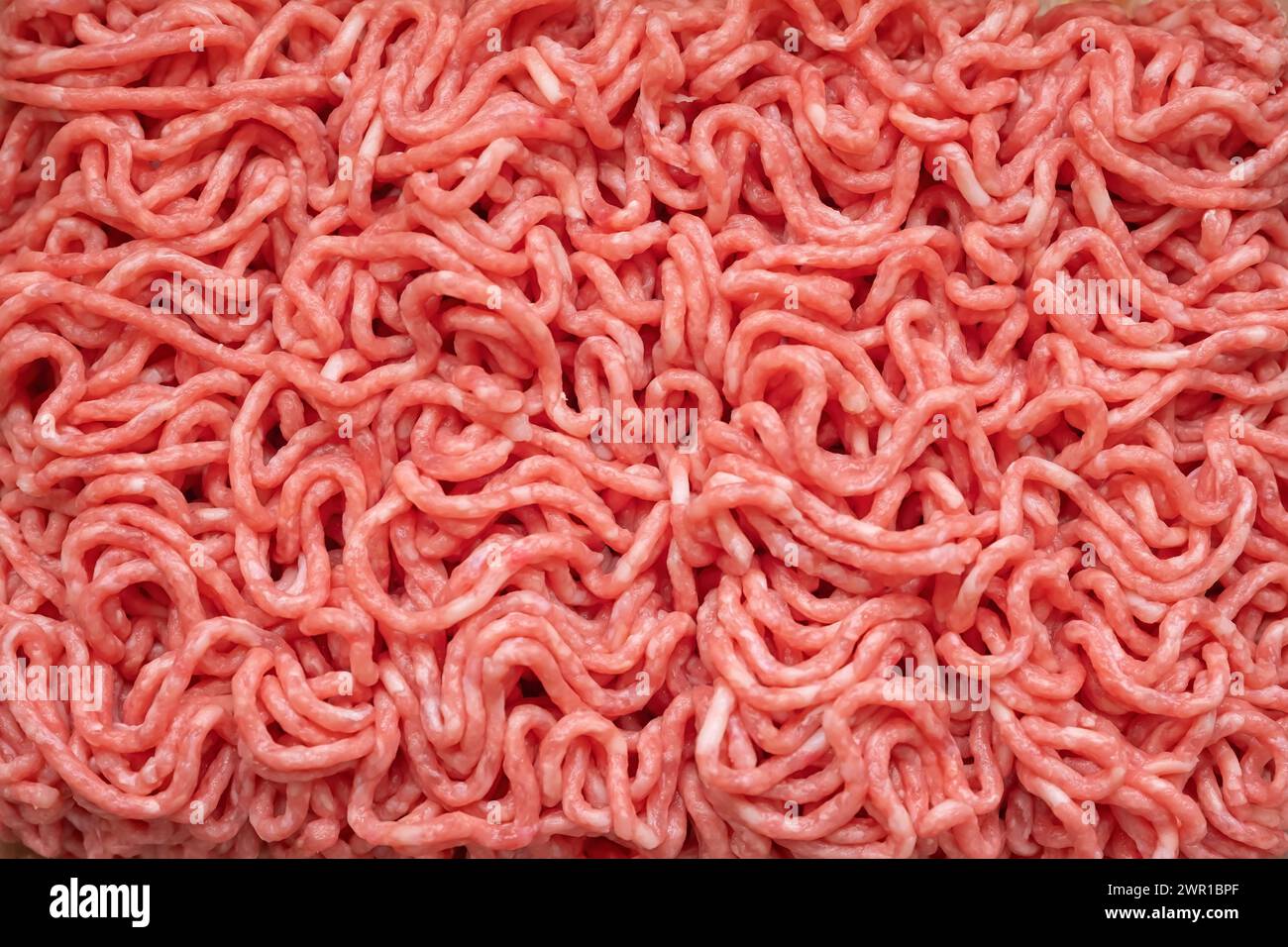 texture of minced meat, closeup of minced veal, minced pork, ground ...