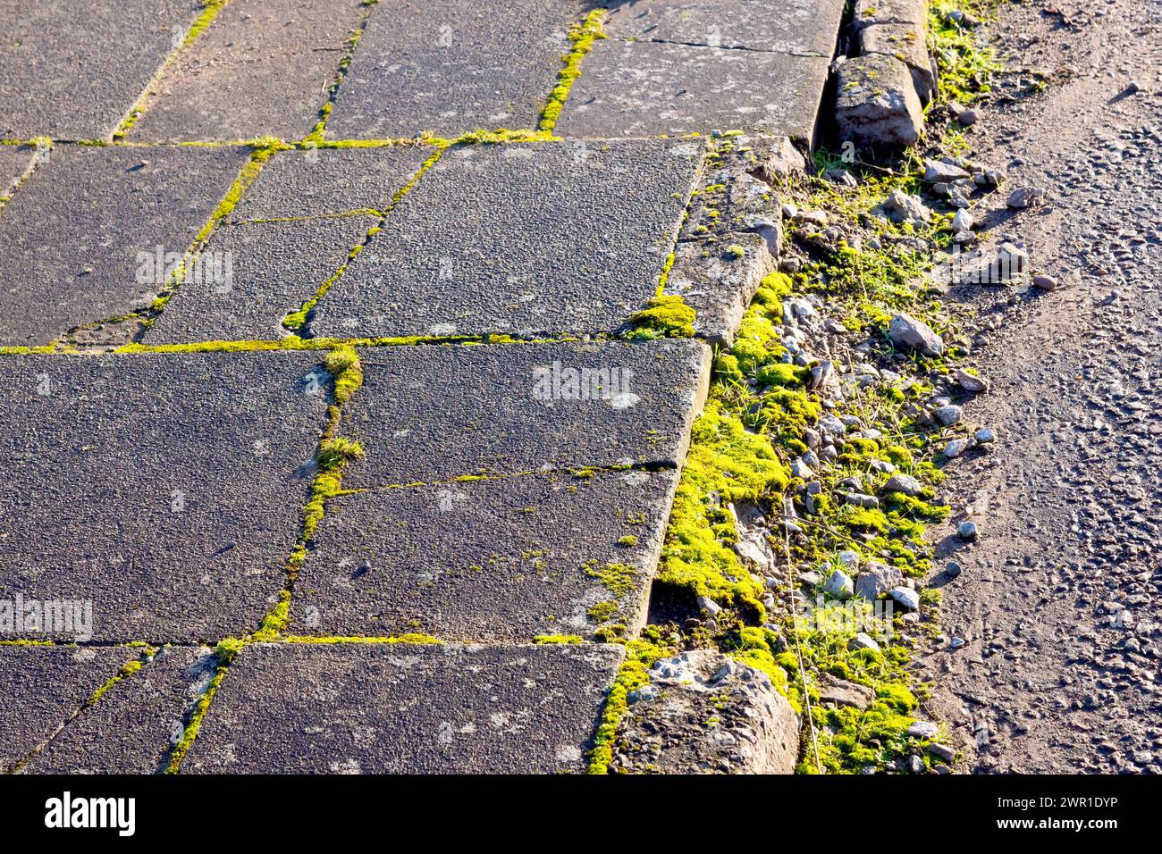 Close up of a pavement damaged by vans and lorries parking on it ...