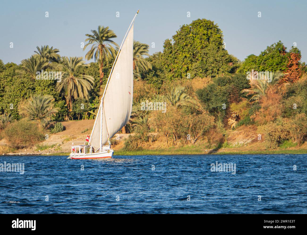 felucca sailboat along the Nile river with it's iconic white triangular ...