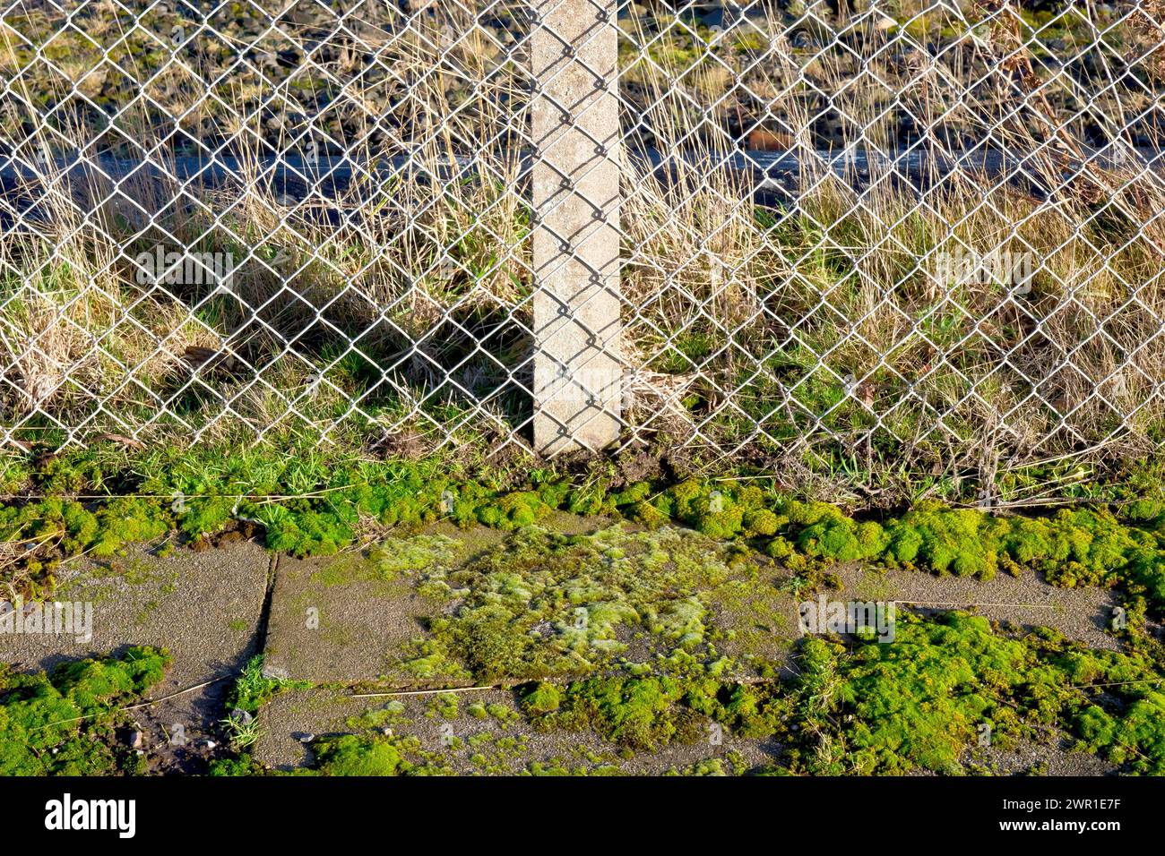Close up of a concrete fence post and chain link wire fence surrounding ...