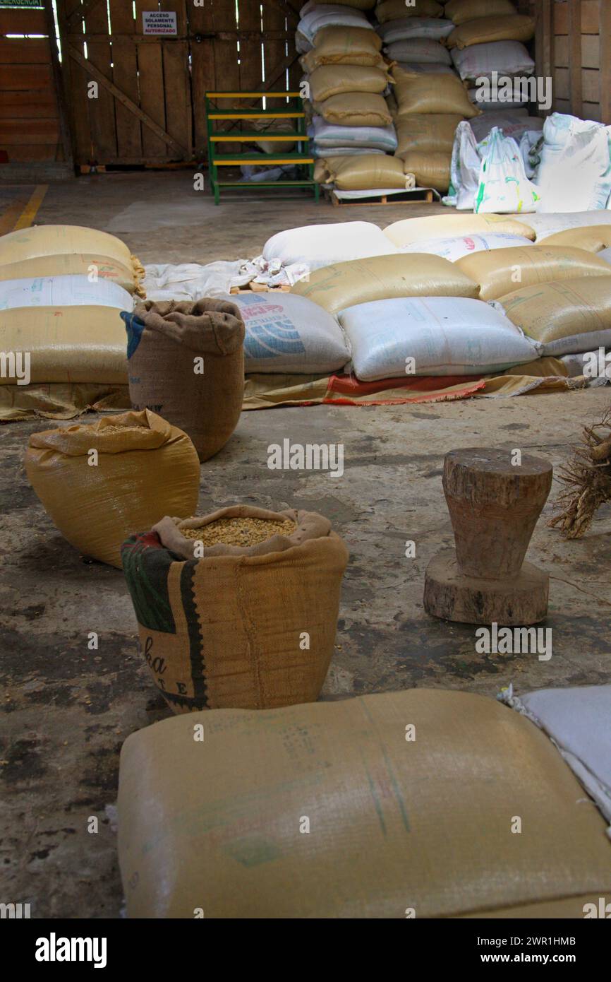 Coffee bean bagging area, Doka Coffee Estate, Sabanilla de Alajuela ...