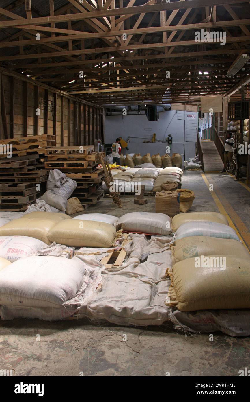 Coffee bean bagging area, Doka Coffee Estate, Sabanilla de Alajuela ...