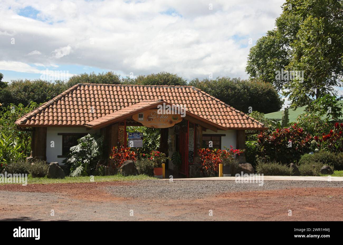 The Doka coffee plantation estate, Alajuela, Costa Rica Stock Photo - Alamy