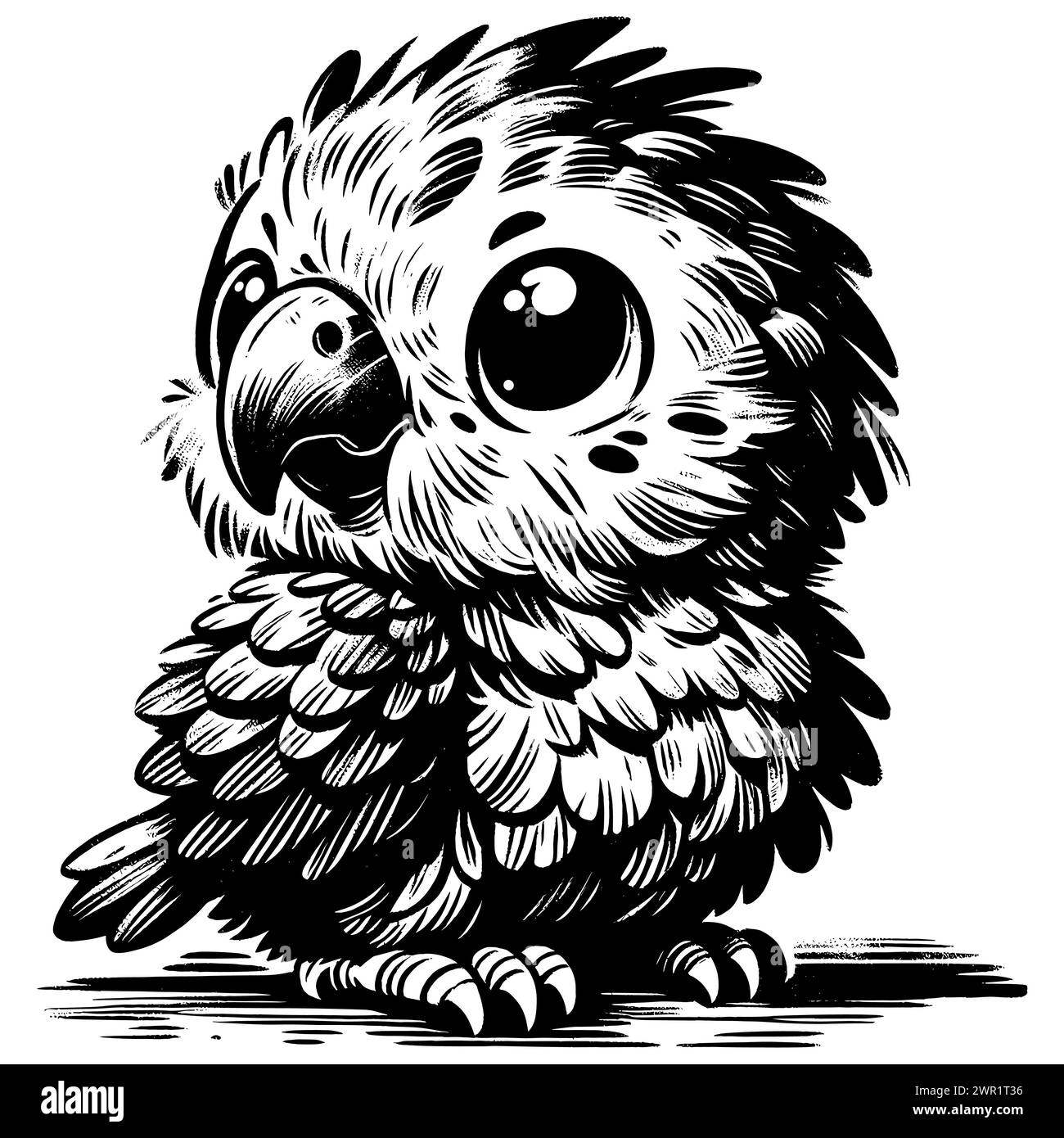 Parrot clipart black and white hi-res stock photography and images - Alamy