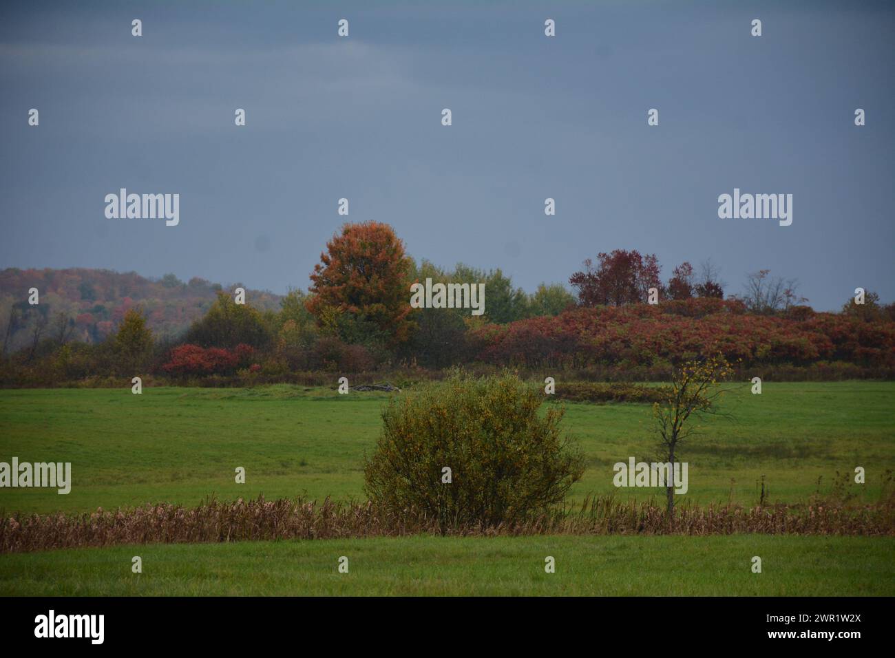 Distant white farmhouse reflected in water on driveway before storm ...