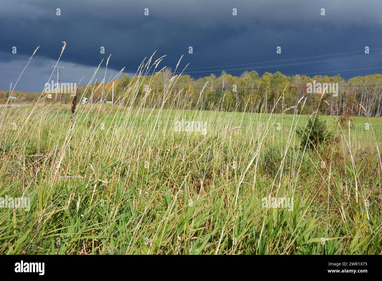 Distant white farmhouse reflected in water on driveway before storm ...