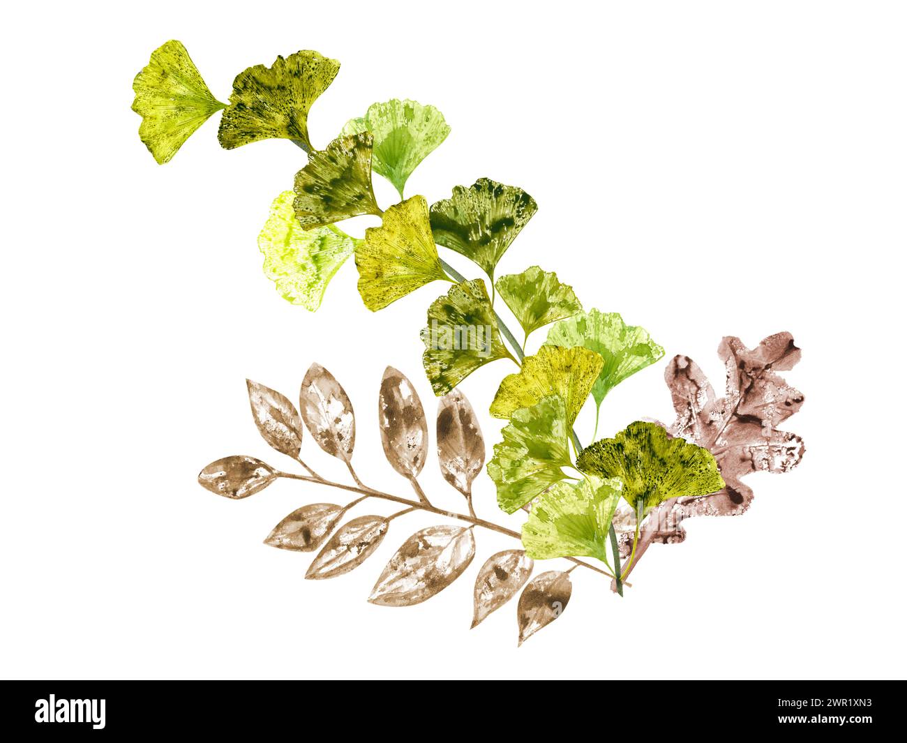 Composition with gingko branch and rowan leaves. Autumn leaf imprint ...