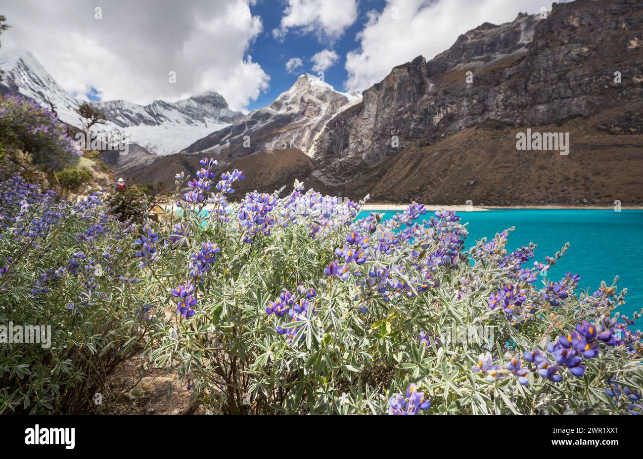 Beautiful lake Paron in Cordillera Blanca, Peru, South America Stock ...