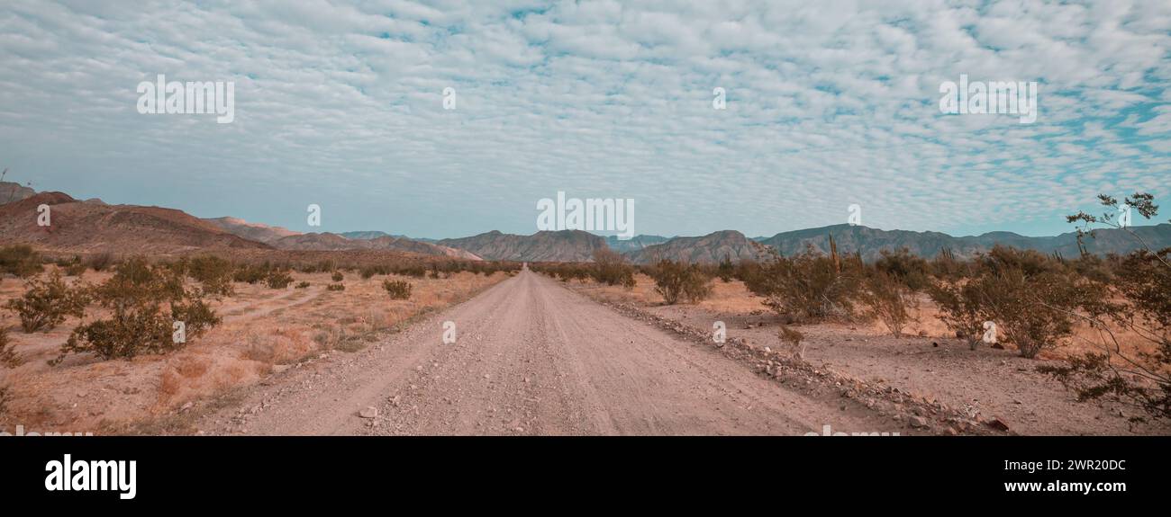 Beautiful natural landscapes in Baja California, Mexico Stock Photo - Alamy