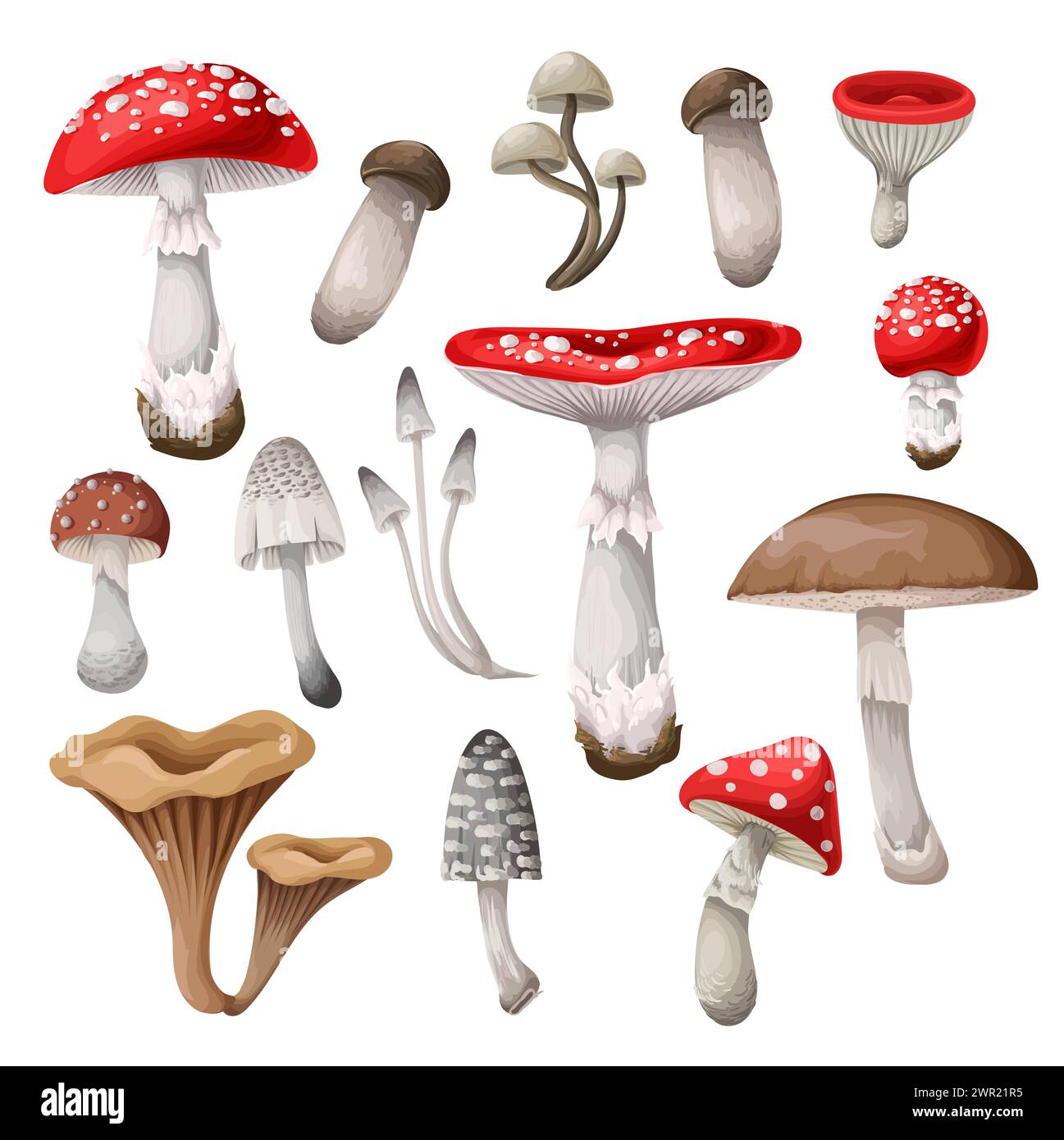 Set of the mushrooms isolated. Vector Stock Vector Image & Art - Alamy