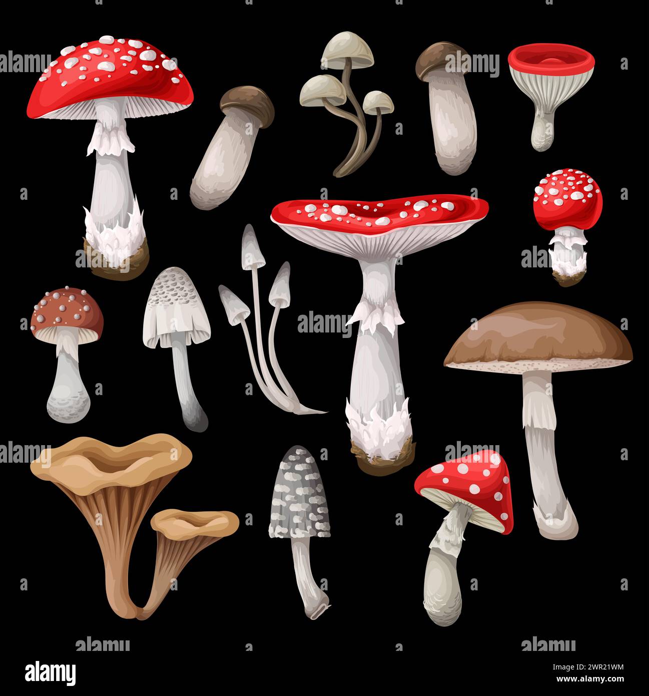 Set of the mushrooms isolated. Vector Stock Vector Image & Art - Alamy