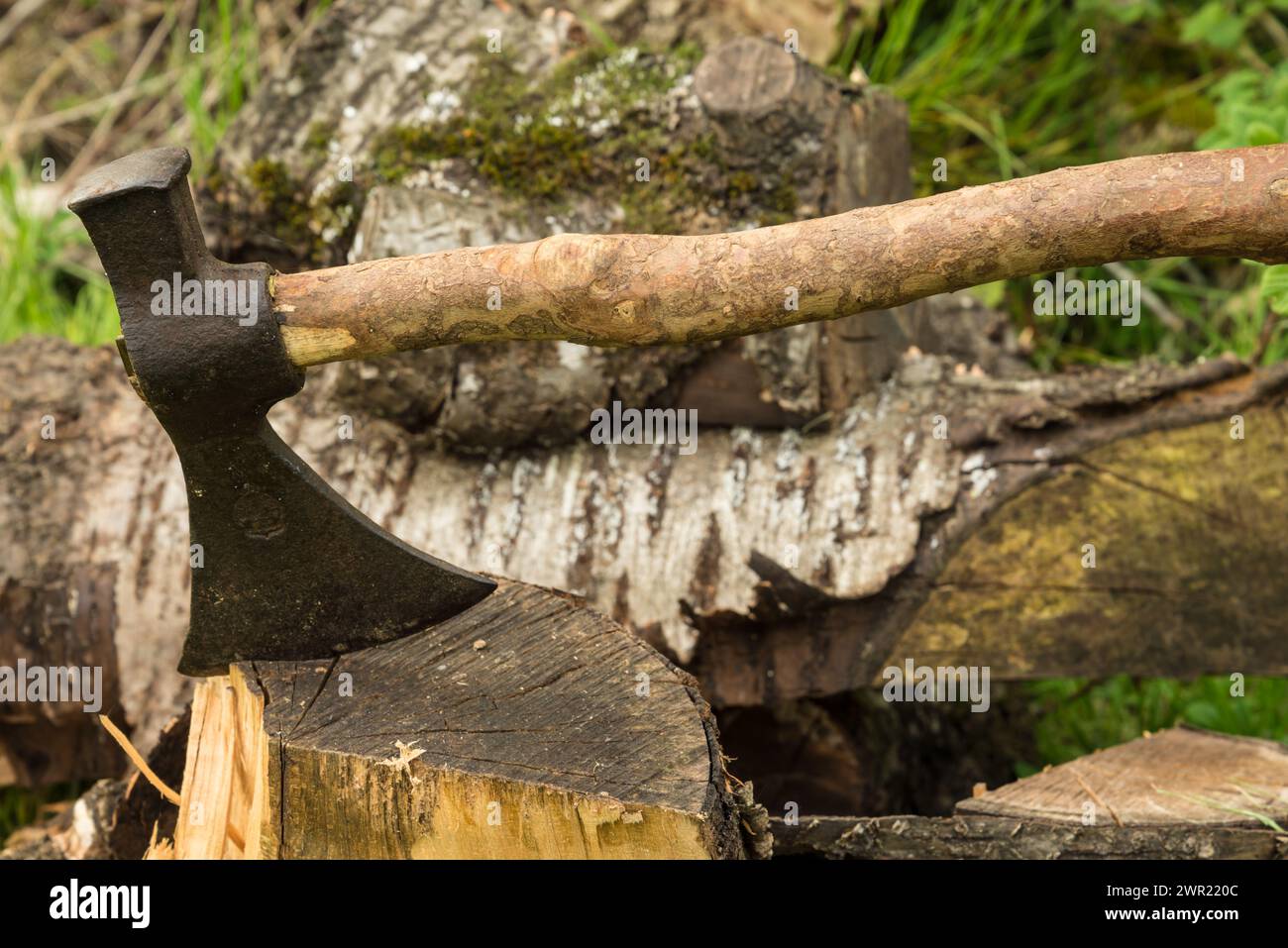 Axe in the stump hi-res stock photography and images - Alamy