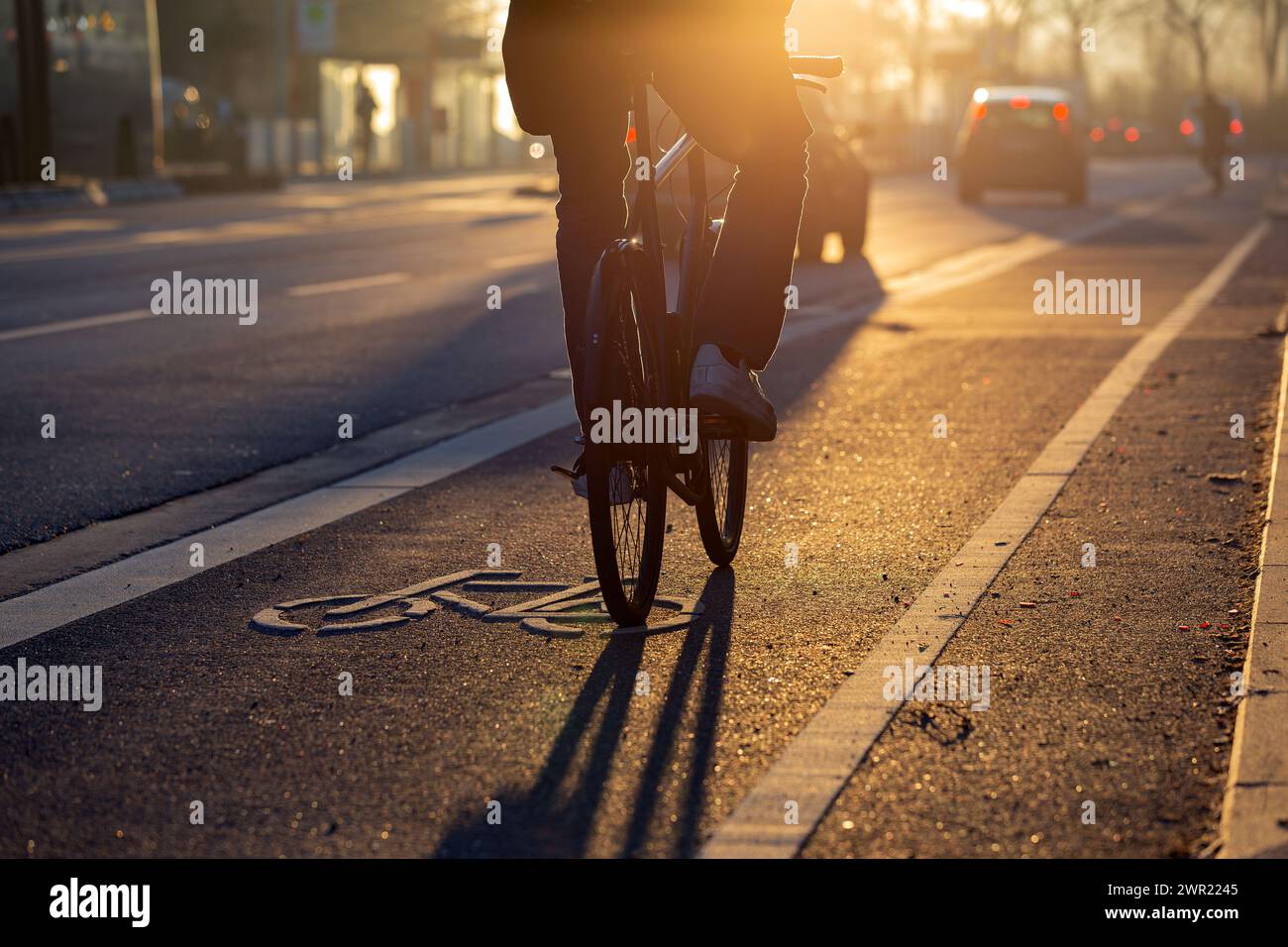 Cyclists on cycle lane early in the morning Stock Photo - Alamy