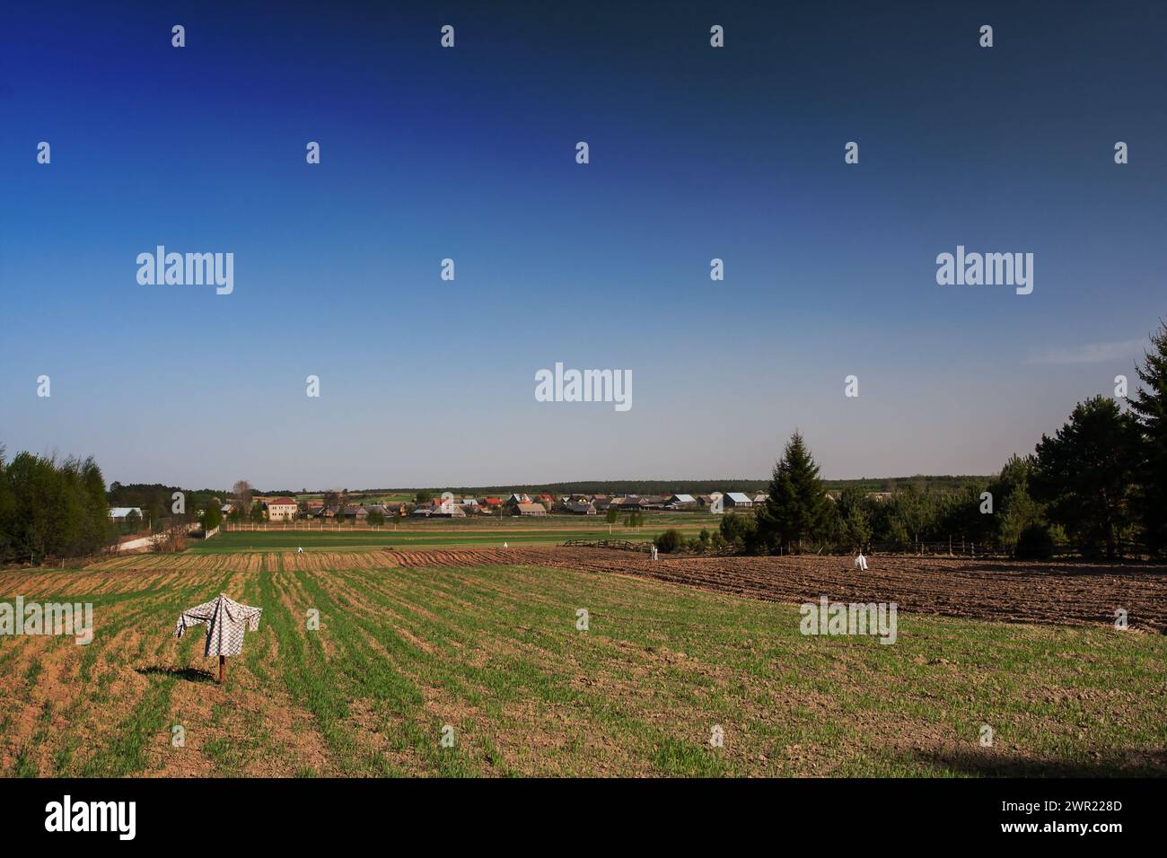 Rural idyllic landscape with a cultivated field and a settlement in the ...