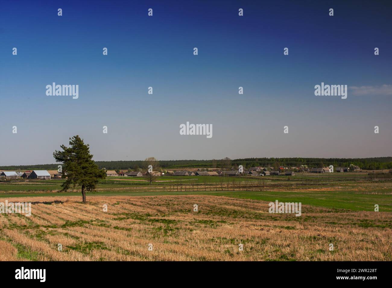 Rural idyllic landscape with a cultivated field and a settlement in the ...