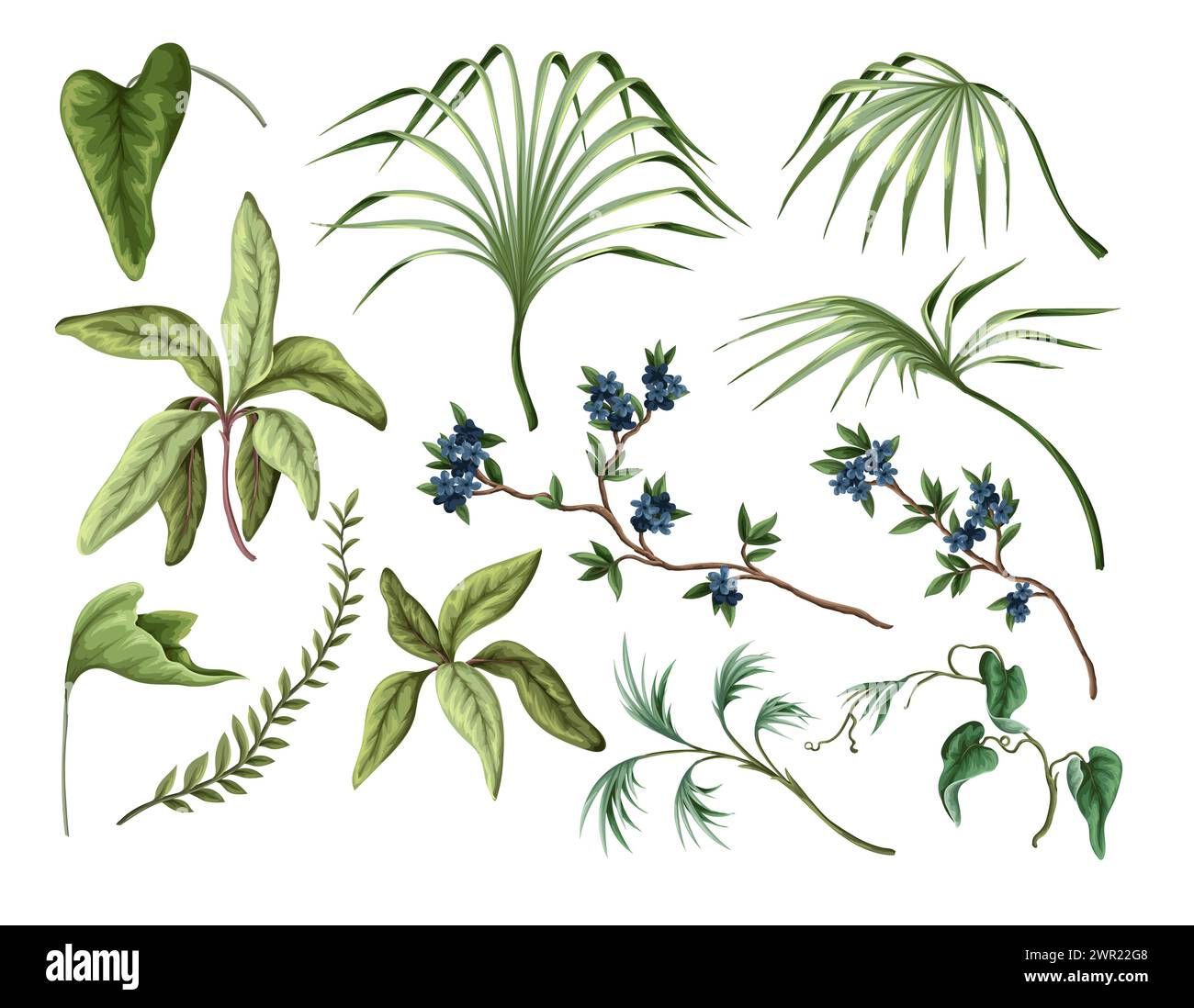 Palm trees flowers Cut Out Stock Images & Pictures - Alamy