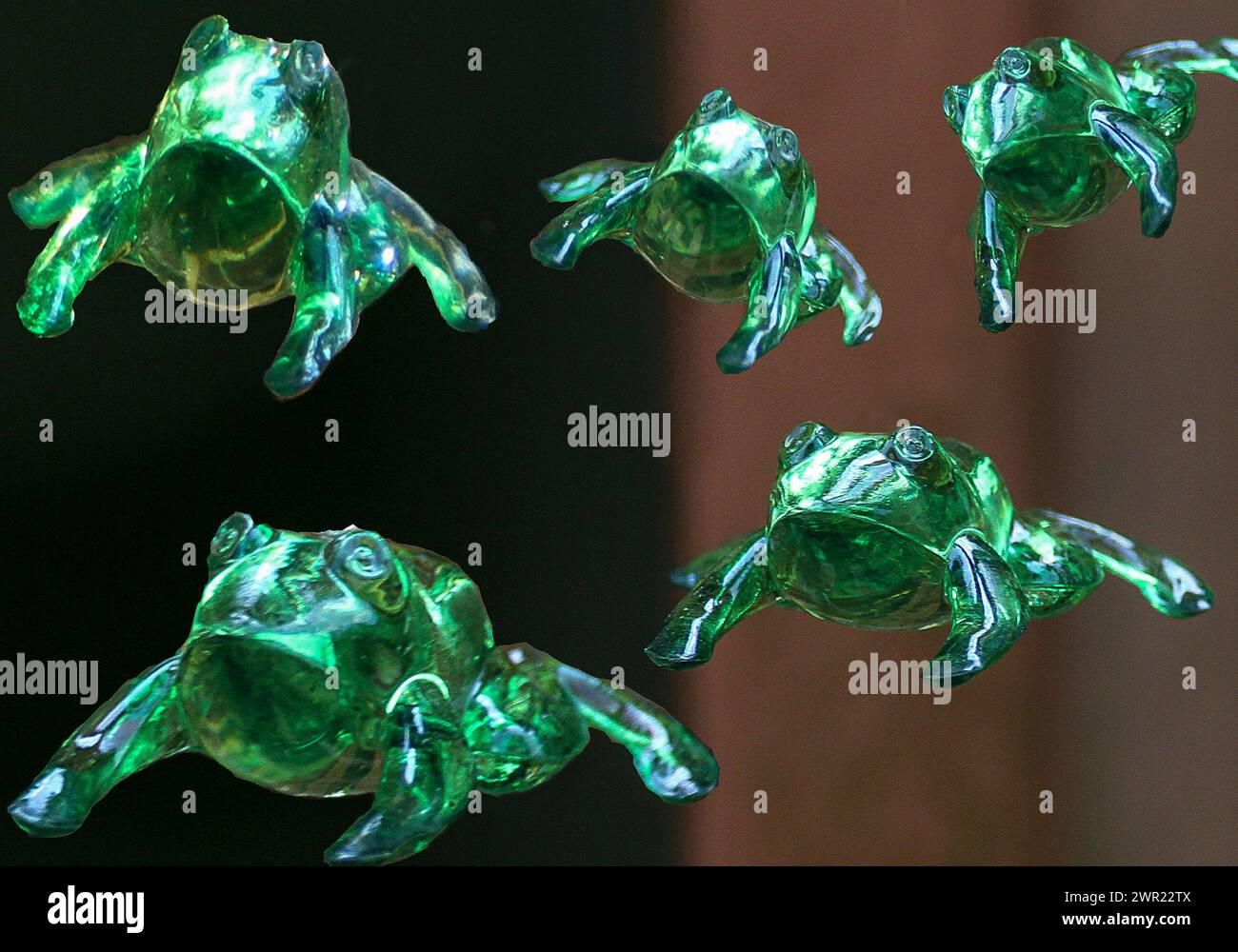 Bright green frogs hi-res stock photography and images - Alamy