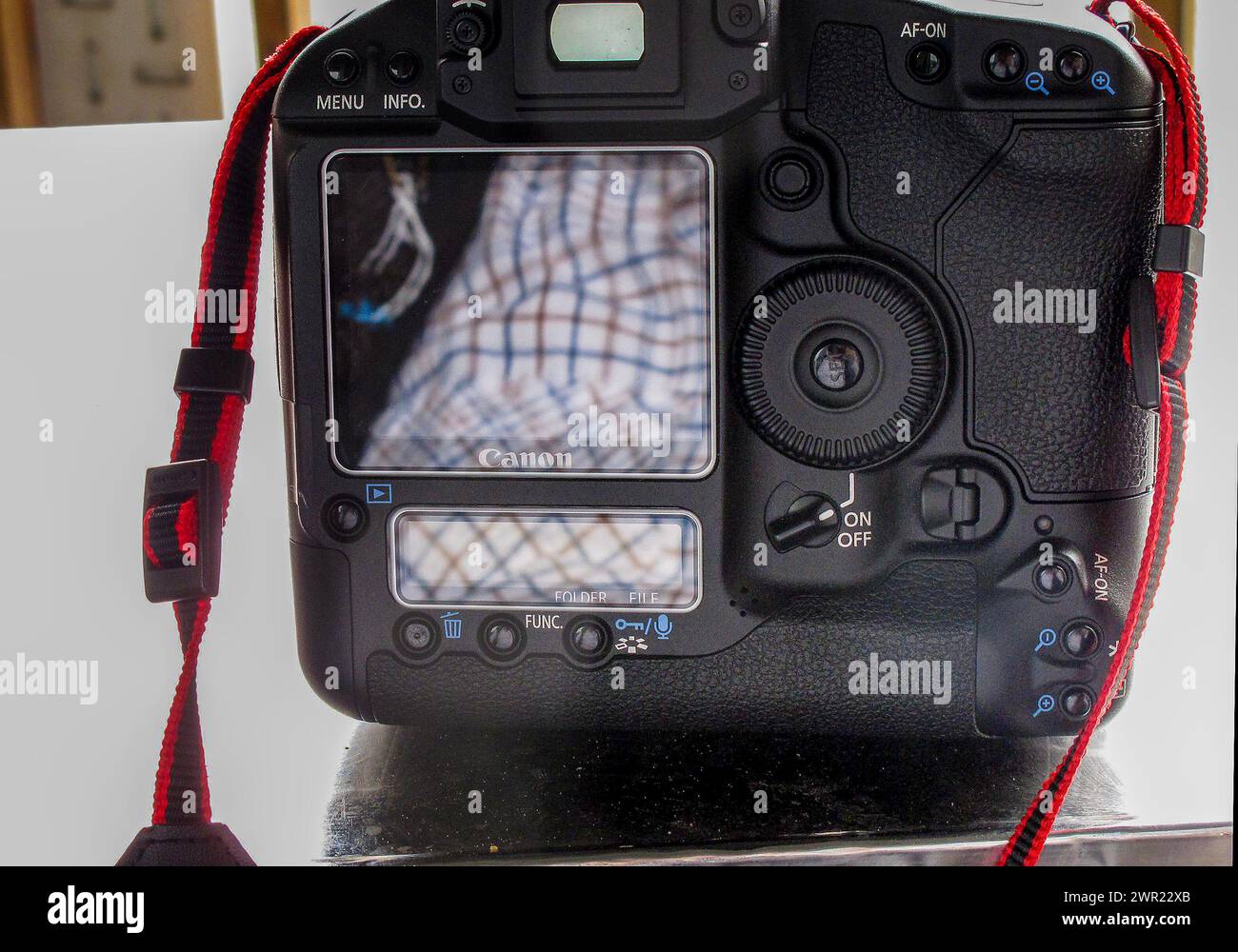 Back to camera view hi-res stock photography and images - Alamy