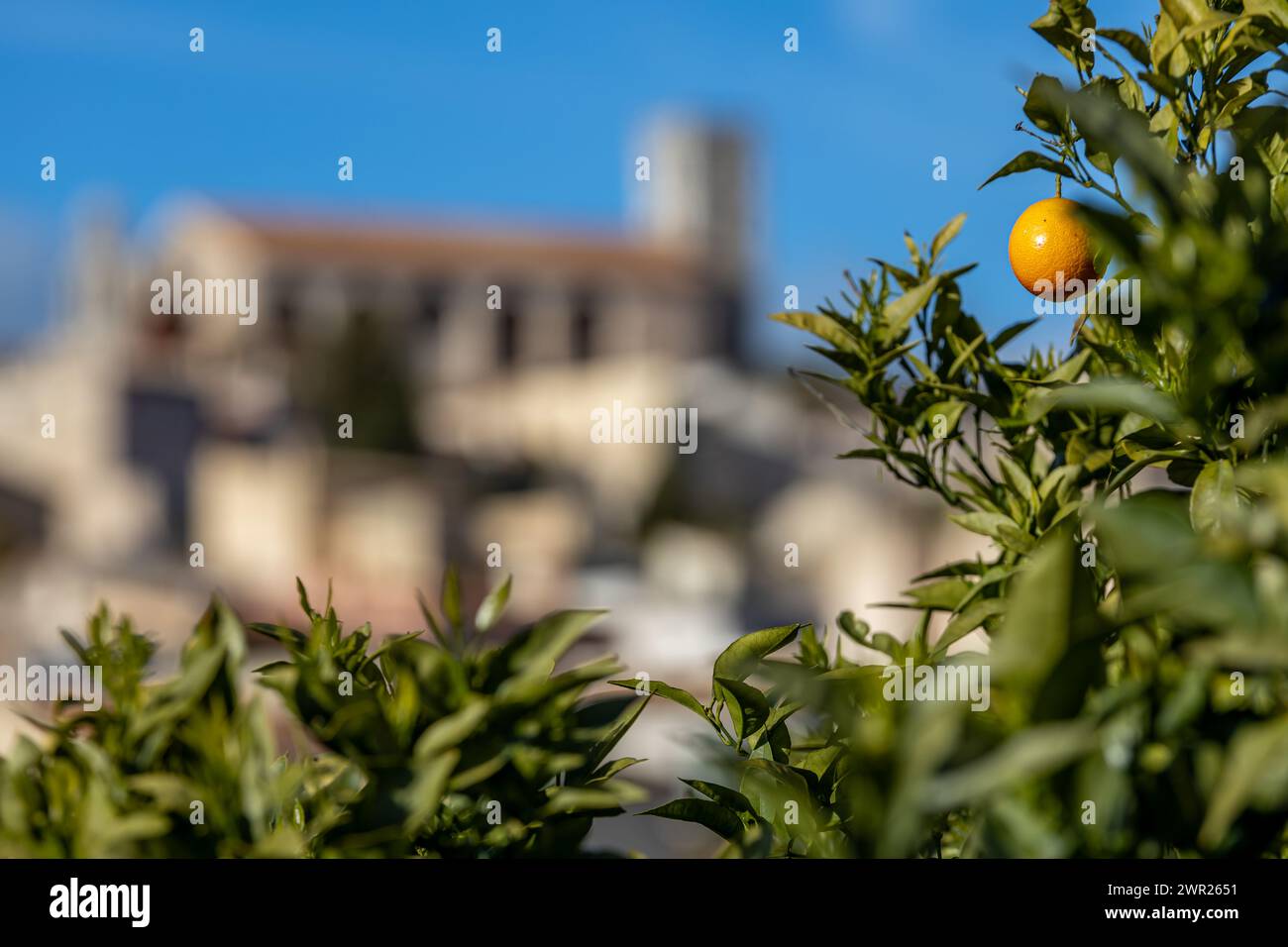 Rural mallorcan village hi-res stock photography and images - Alamy