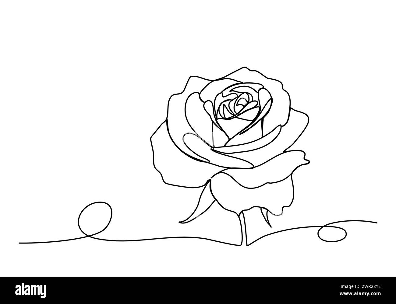 Rose, one line drawing vector illustration Stock Vector Image & Art - Alamy