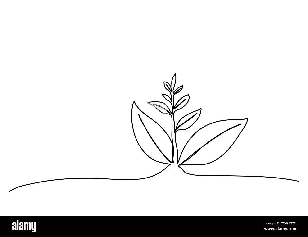 Sprout one line drawing Sprout, one line drawing vector illustration ...