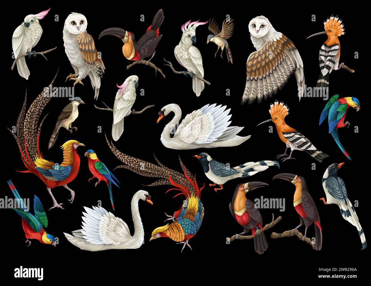 Biggest birds set in realistic style, high quality detail. Vector Stock ...