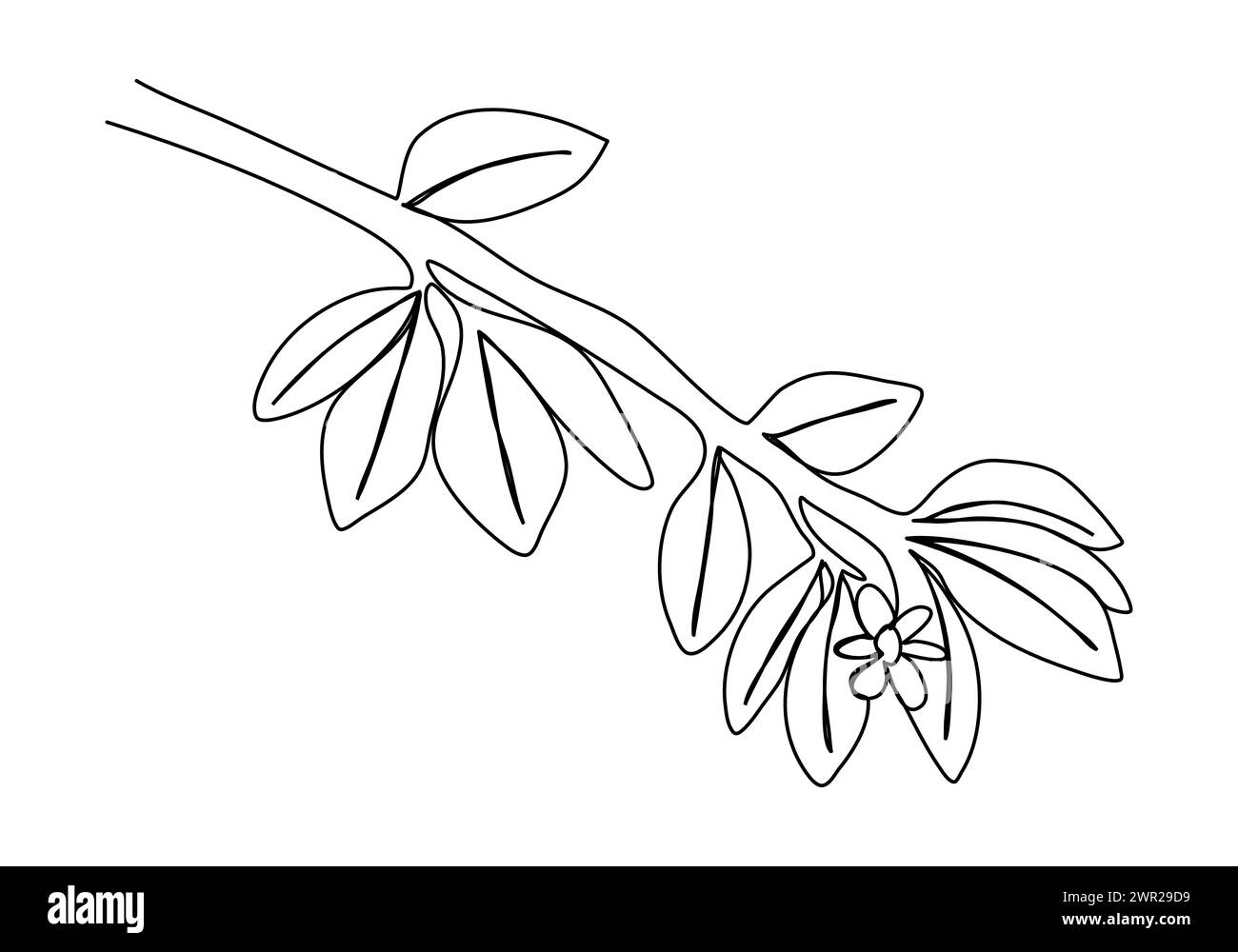 Tree branch. One line drawing vector illustration Stock Vector Image ...
