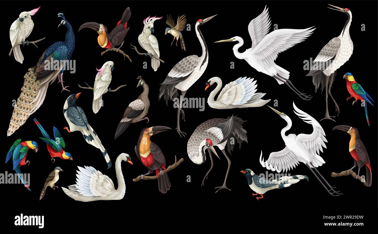 Heron in detail Stock Vector Images - Alamy